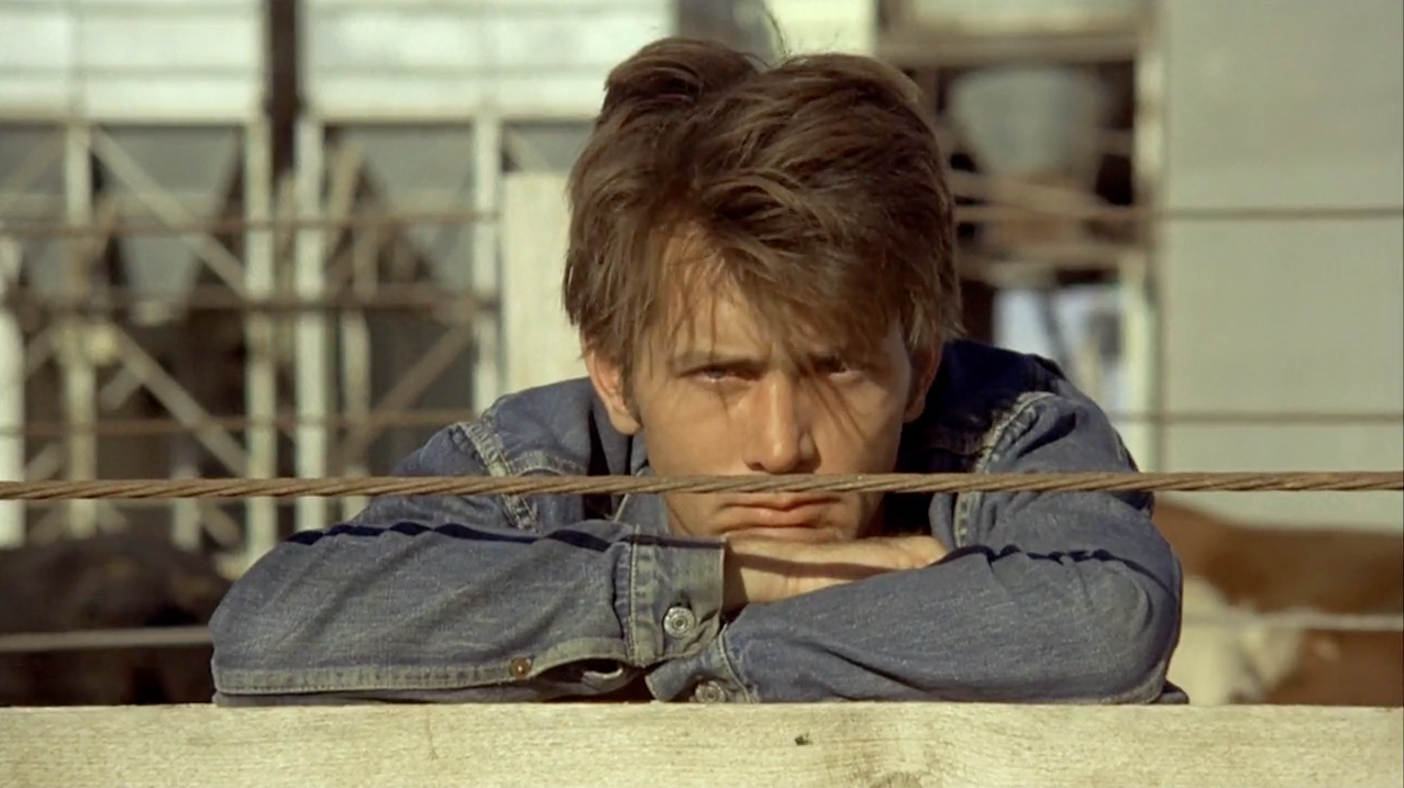 The Criterion Collection: March-February (2013) Releases: DVD, Blu-ray